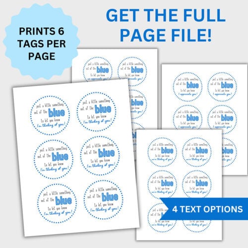 DIY Blue Gift Basket Ideas-and Free Printable Gift Tags! - Aubree Originals