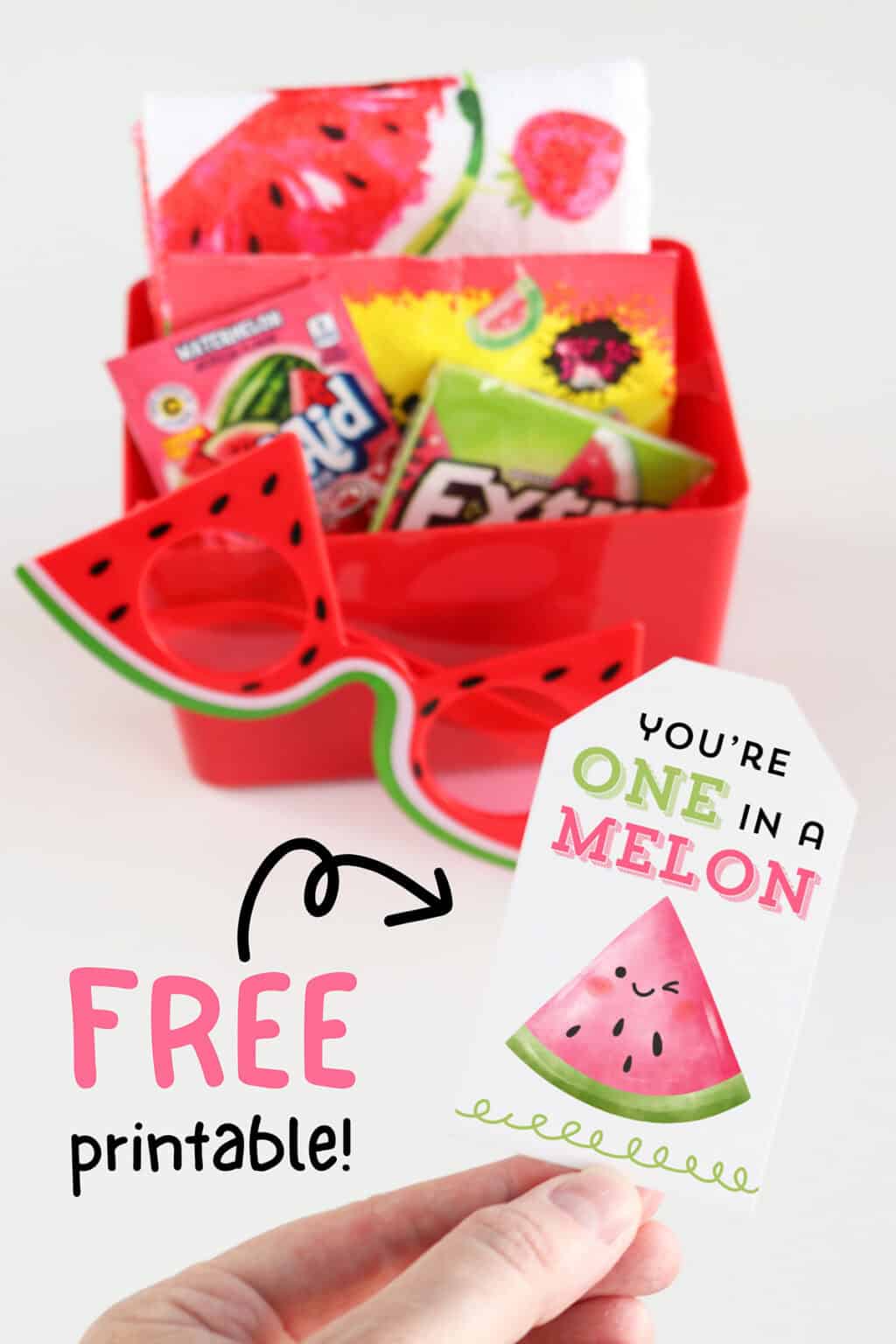 DIY Watermelon Gift For Summer & Free Printable Tags - Aubree Originals